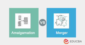 Amalgamation | Objectives and Process of Amalgamation with Types