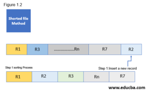 Sequential File Organization | Sequential File Organization Methods