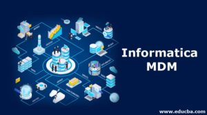 Informatica MDM | Top Key Features of Informatica MDM with Advantages