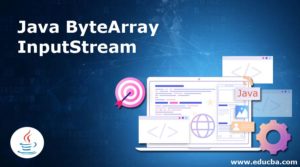Java ByteArrayInputStream | Top 8 Methods of Java ByteArrayInputStream