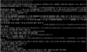 Linux Shred | Learn How does Linux Shred Command work? | Examples
