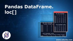 Pandas DataFrame.loc[] | Learn the Examples of Pandas DataFrame.loc[]