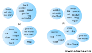 Pattern Searching | Complete Guide to How does Pattern Searching work