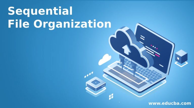 Sequential File Organization | Sequential File Organization Methods