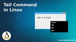 Tail Command in Linux | Complete Guide to Command in Linux & Example