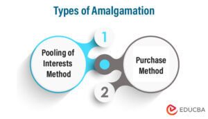 Amalgamation | Objectives and Process of Amalgamation with Types