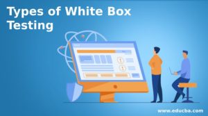Types of White Box Testing | 7 Different Types of White Box Testing