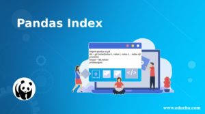 Pandas Index | How to Set and Reset Index in Pandas with examples?