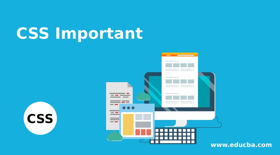 CSS Important Guide To How Does Important Property Work In CSS CSS Important Guide To How Does Important Property Work In CSS