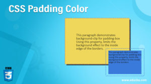 CSS Padding Color | A Quick Glance of CSS Padding Color with Examples