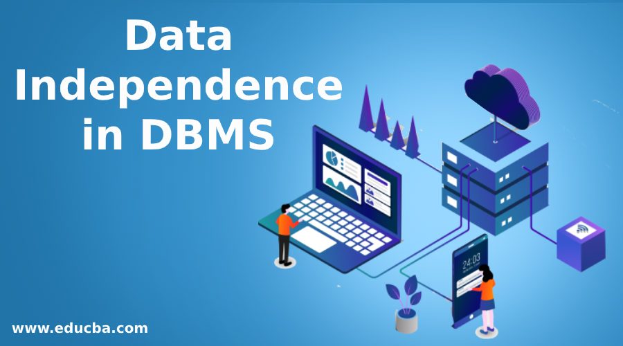 Data Independence In DBMS Types Of Data Independence In DBMS