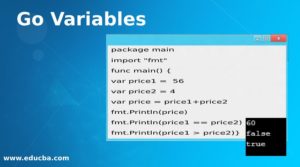 Go Variables | Types of Variables in Go | How to Declare Variables in Go