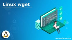 Linux wget | How Linux wget Command works | Programming Examples