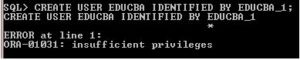 Oracle GRANT | Implementation of Oracle GRANT with Examples