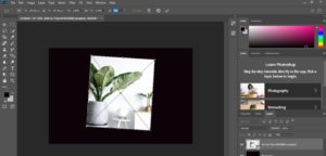Transform Tool Photoshop | How to Use Transform Tool in Photoshop?