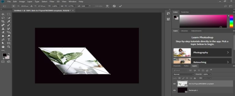 Transform Tool Photoshop | How to Use Transform Tool in Photoshop?