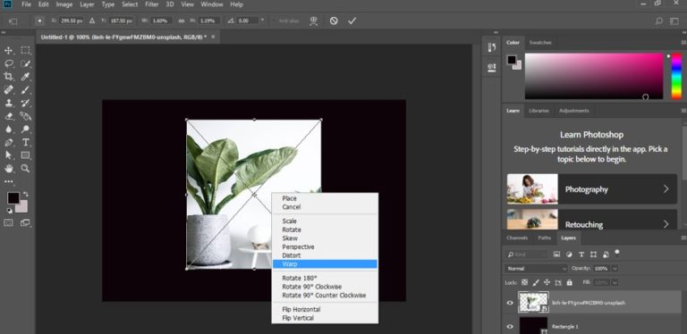 Transform Tool Photoshop | How to Use Transform Tool in Photoshop?