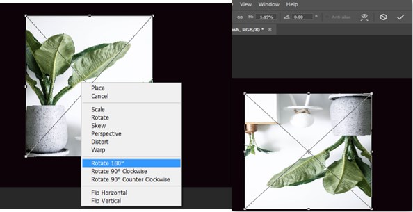Transform Tool Photoshop How To Use Transform Tool In Photoshop 