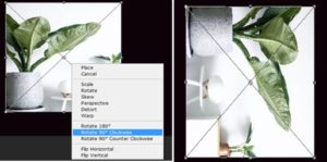 Transform Tool Photoshop | How to Use Transform Tool in Photoshop?