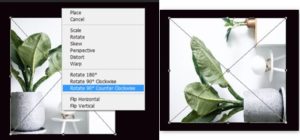 Transform Tool Photoshop | How to Use Transform Tool in Photoshop?