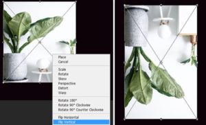Transform Tool Photoshop | How to Use Transform Tool in Photoshop?