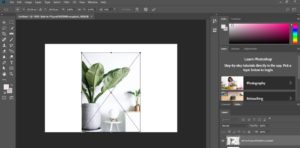 Transform Tool Photoshop | How to Use Transform Tool in Photoshop?