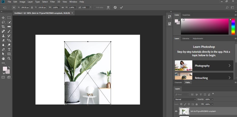 Transform Tool Photoshop How To Transform Images In Photoshop 