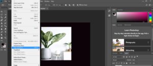 Transform Tool Photoshop | How to Use Transform Tool in Photoshop?