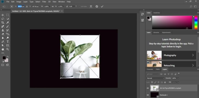 Transform Tool Photoshop | How to Use Transform Tool in Photoshop?
