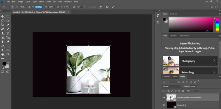 Transform Tool Photoshop | How to Use Transform Tool in Photoshop?