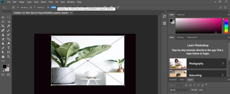 Transform Tool Photoshop | How to Use Transform Tool in Photoshop?