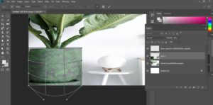 Warp Image Photoshop | Adjusting and Setting Images of any Object