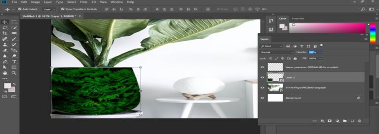 Warp Image Photoshop | Adjusting and Setting Images of any Object