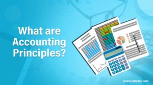 What are Accounting Principles? | Guide to Top 12 Accounting Principles