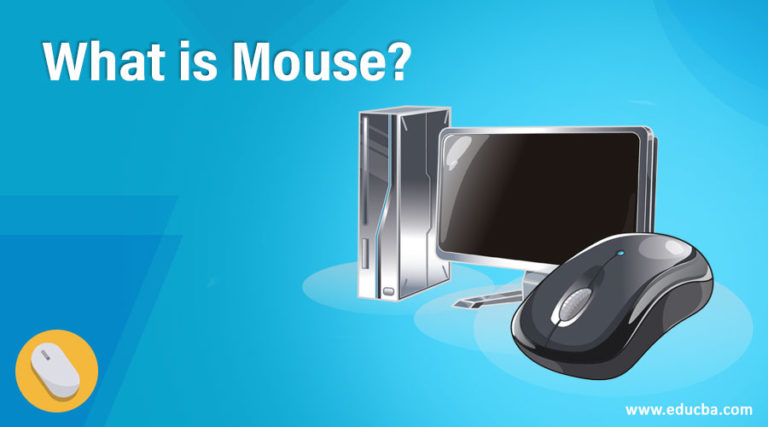 What is Mouse? | Different Parts of Mouse with its Uses