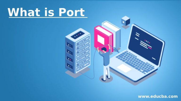 What is Port | Learn the Importance and Types of Port in Detail