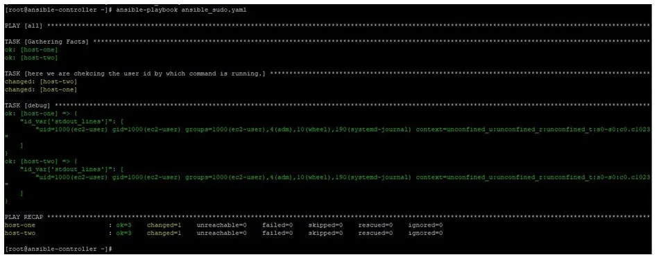 Ansible Sudo | How does Ansible Sudo work? Examples