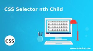CSS Selector nth Child | How Does nth Child Selector Work in CSS?