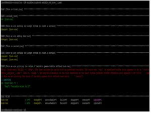 Ansible add_host | How does Ansible add_host works with Examples