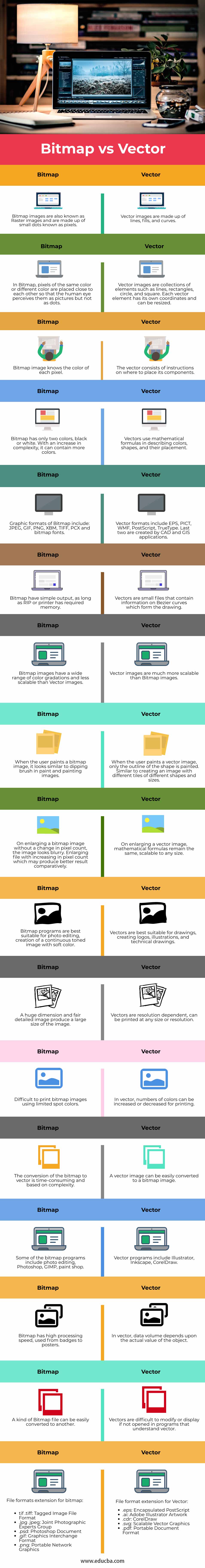 Bitmap Vs Vector 17 Amazing Comparisons Of Raster Vs Vector