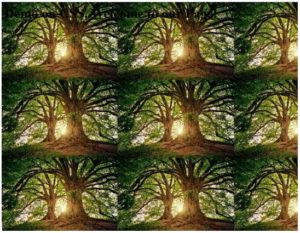 CSS Background Image | How to Add Background Image in CSS?