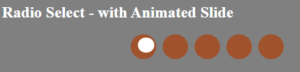 CSS Radio Button | Examples to Implement CSS Radio Button
