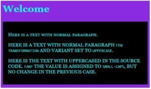 CSS font-variant | How font-variant property work in CSS with Examples