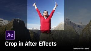 Crop in After Effects | Applying Stylistic Effects to get Crop