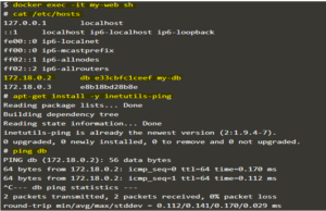Docker Container Linking | How Communication Works Across Links?