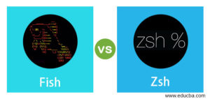 Fish vs Zsh | What are the Differences of these Linux Shells?