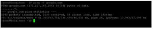 Linux Ping | How Linux Ping Command works with Examples
