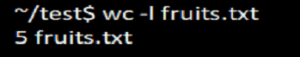Linux WC | How does WC Command Work in Linux?