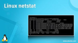 Linux netstat | Guide to Linux netstat with Programming Examples