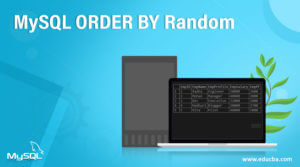 MySQL ORDER BY Random | How ORDER BY Random Works in MySQL
